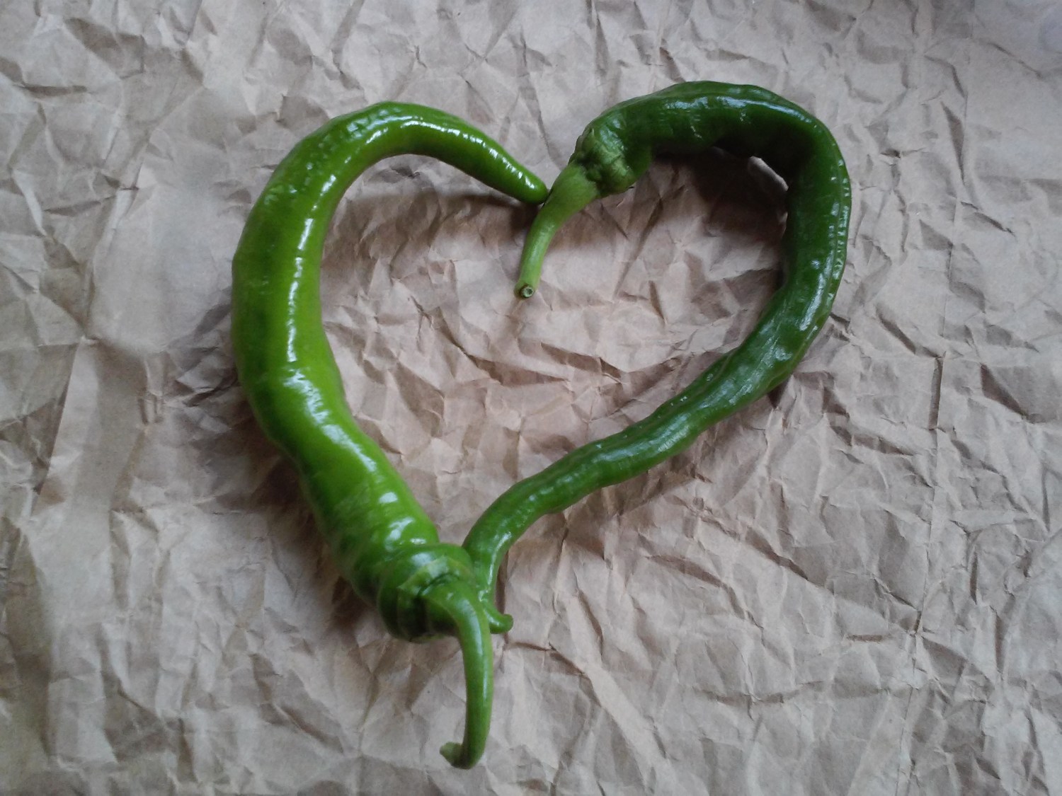 Cowhorn Pepper Harvest ~ Cowhorn Recipes – SpoonGood